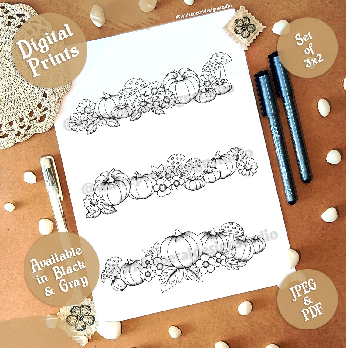 Pumpkin Flower Coloring Page | Printable Illustrations (digital ...