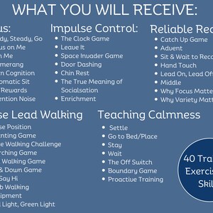 Dog Training Business Templates – Editable Behavior Guide and Puppy ...