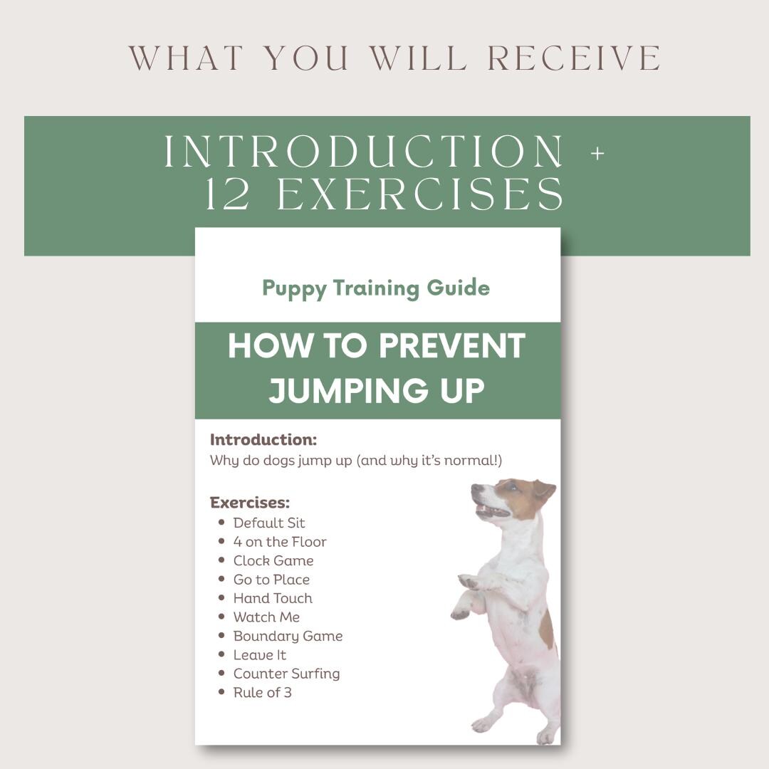 Dog Trainer Printable Templates Stop Puppy Jumping Guide Dog Training ...