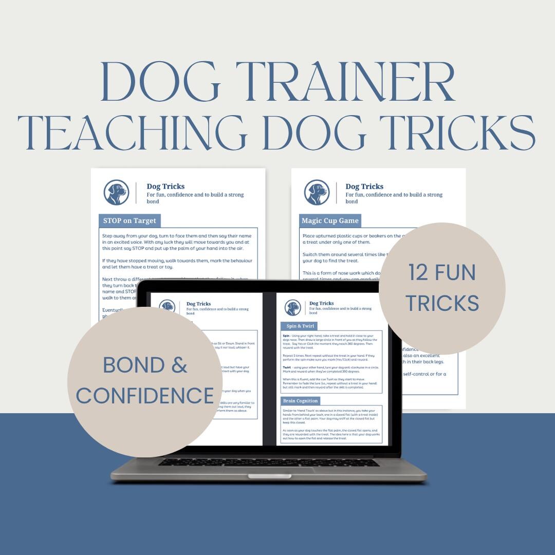 Dog Training Business Templates for Dog Tricks & Behaviour Forms Puppy ...