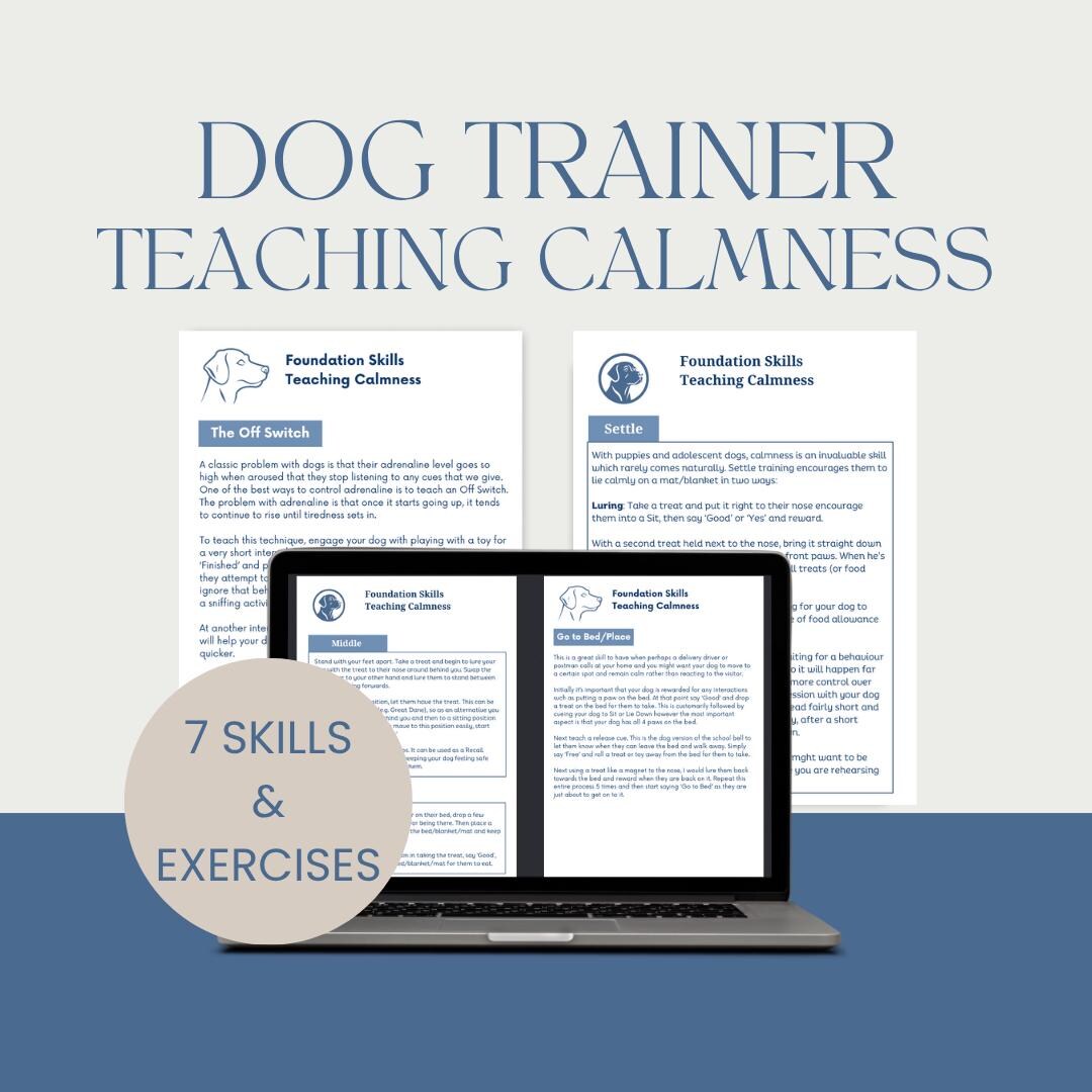 Dog Training Business Guide Template PDF Dog Trainer Notes for Puppy ...