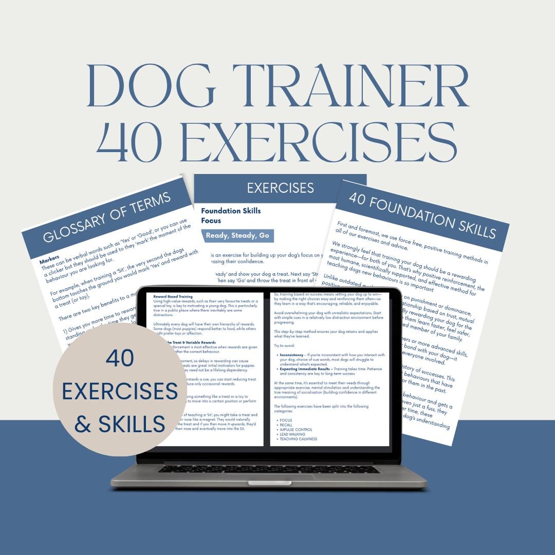 Dog Training Business Templates: Editable Canva Guides (digital ...