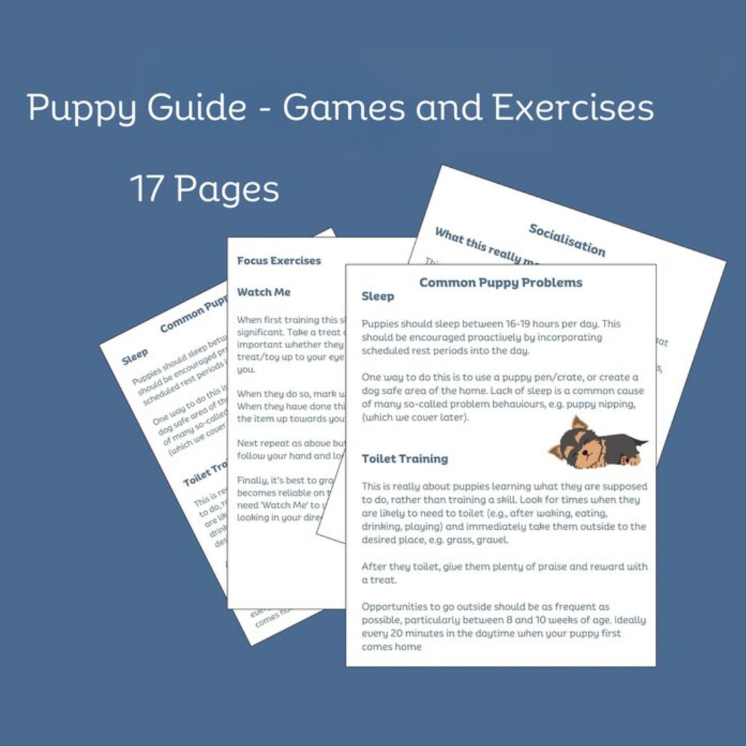 Puppy Training PDF Handout for Pet Business Puppy Trainer Exercises for ...