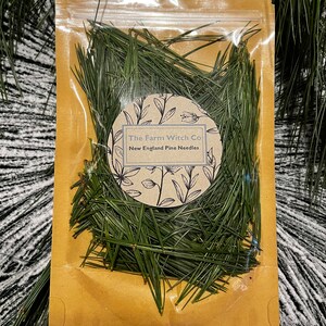 Fresh Eastern White Pine Needles ~ Homemade Cleaner~ Tea~ Crafts~ Soap ...