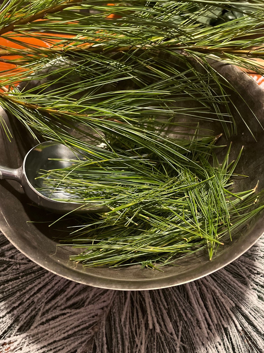 Fresh Eastern White Pine Needles ~ Homemade Cleaner~ Tea~ Crafts~ Soap ...