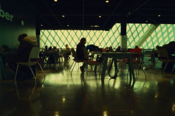 FILM EMULATIONS by analogica.lab