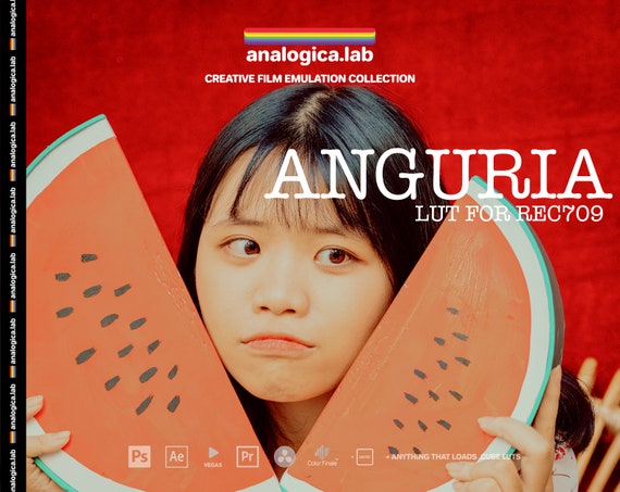 analogicalab