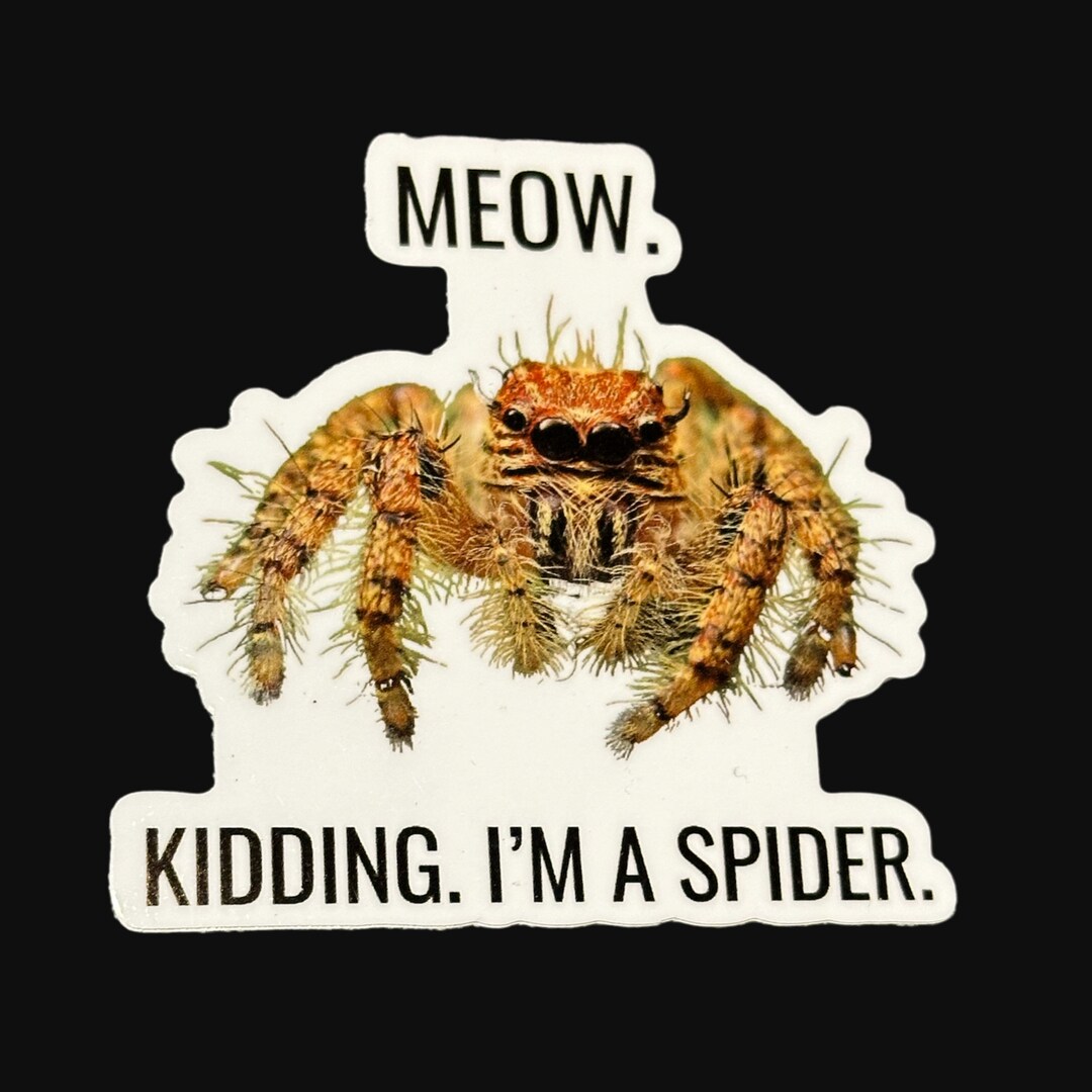 3 Meow Jumping Spider Sticker - Etsy