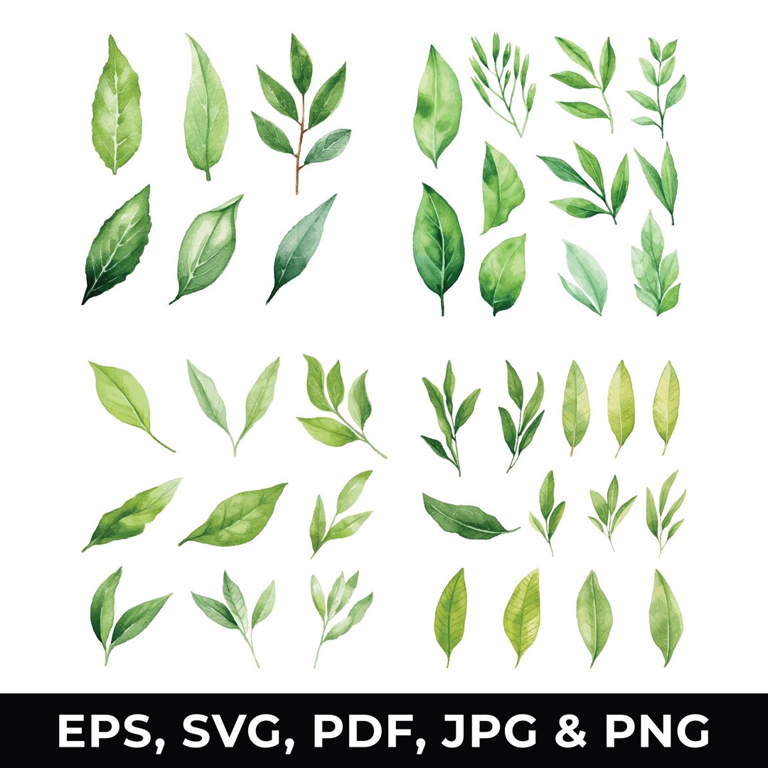Watercolor Green Leaves Clipart Set - Botanical Foliage Graphics, Green ...