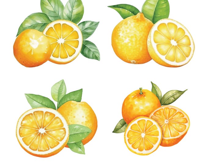 Watercolor Orange Slice Clipart, Citrus Slice Clipart, Orange ...