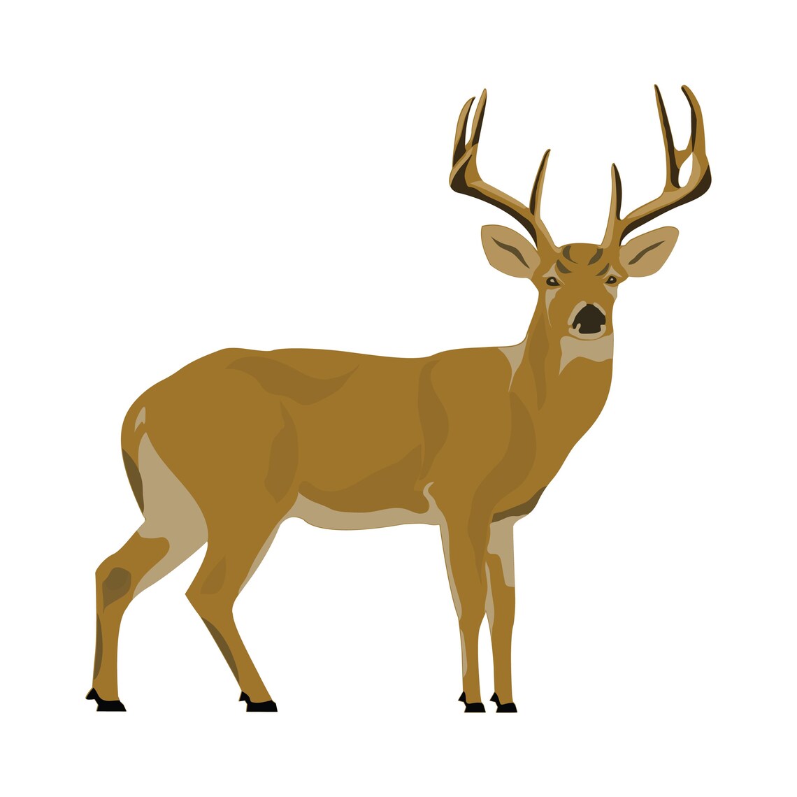 SVG Wild Deer Vector Illustration Clipart - Etsy