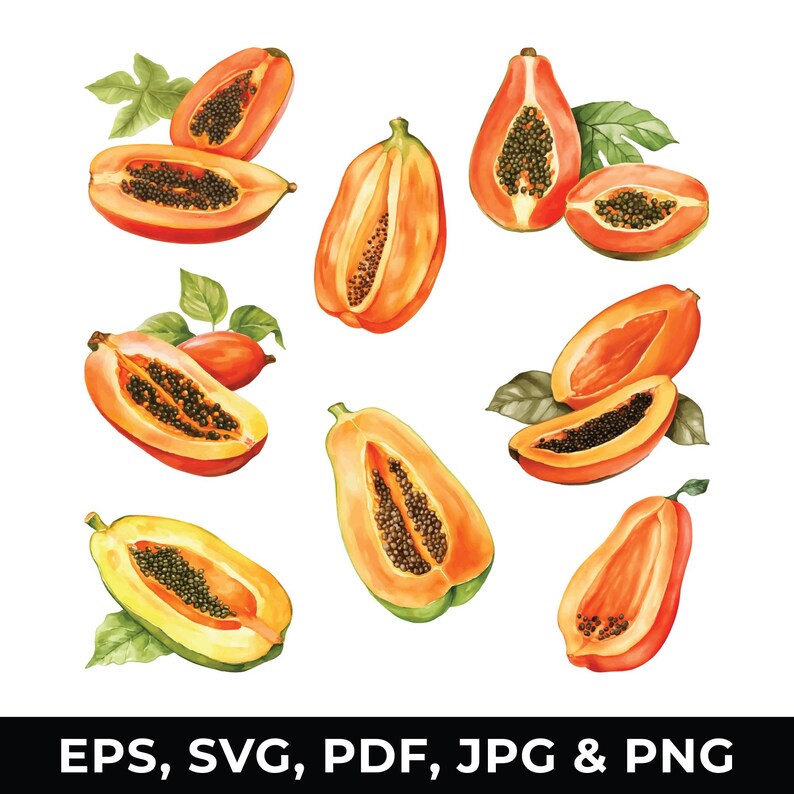 Watercolor Papaya Clipart Set - Tropical Fruit Illustration, Papaya SVG ...