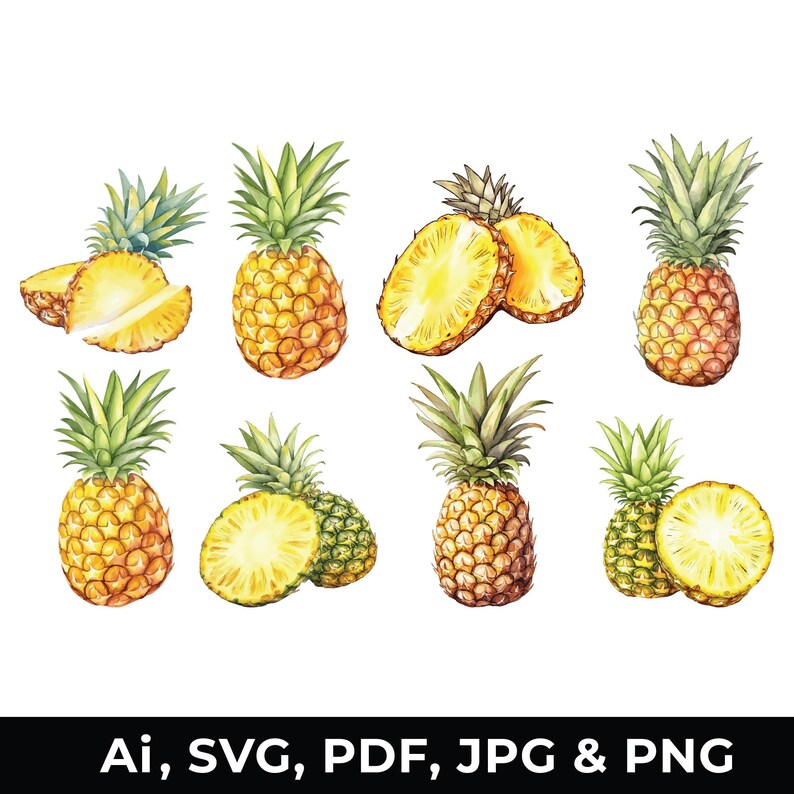 Watercolor Pineapple Clipart Set, Whole and Sliced Pineapple ...