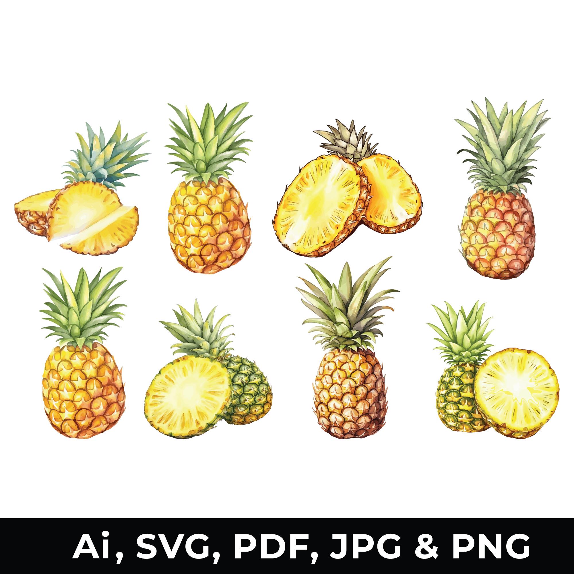 Watercolor Pineapple Clipart Set, Whole and Sliced Pineapple ...