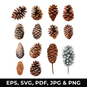 Watercolor Pine Cone Clipart, Pinecone Illustrations, Christmas ...