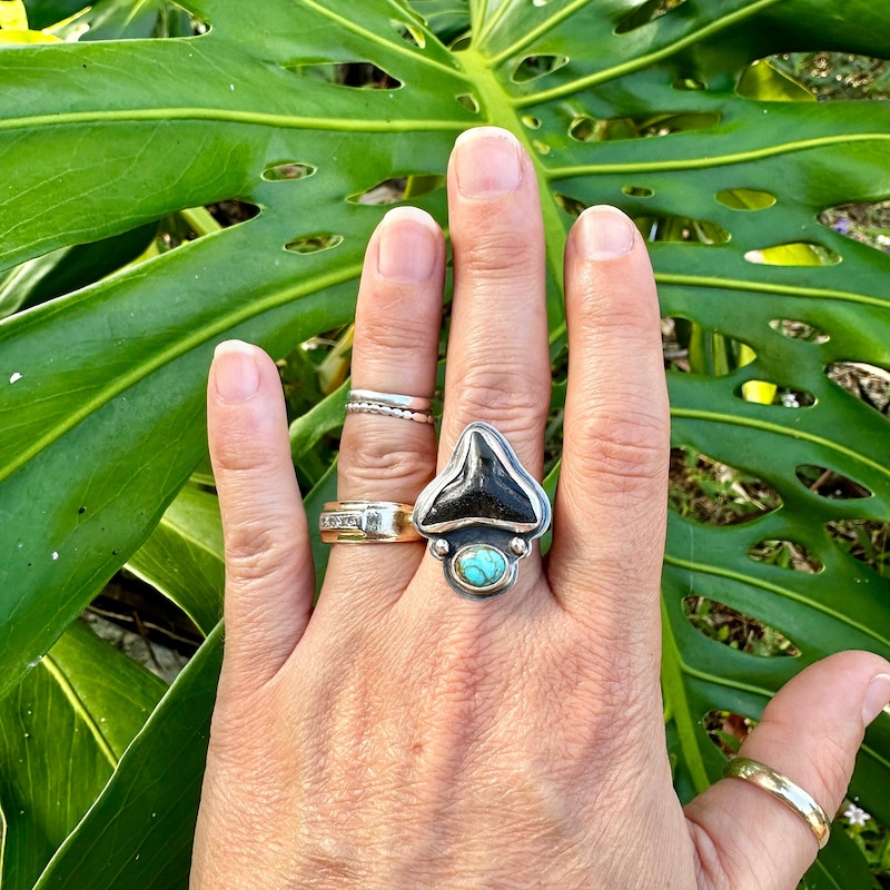 Shark Tooth Ring - Etsy