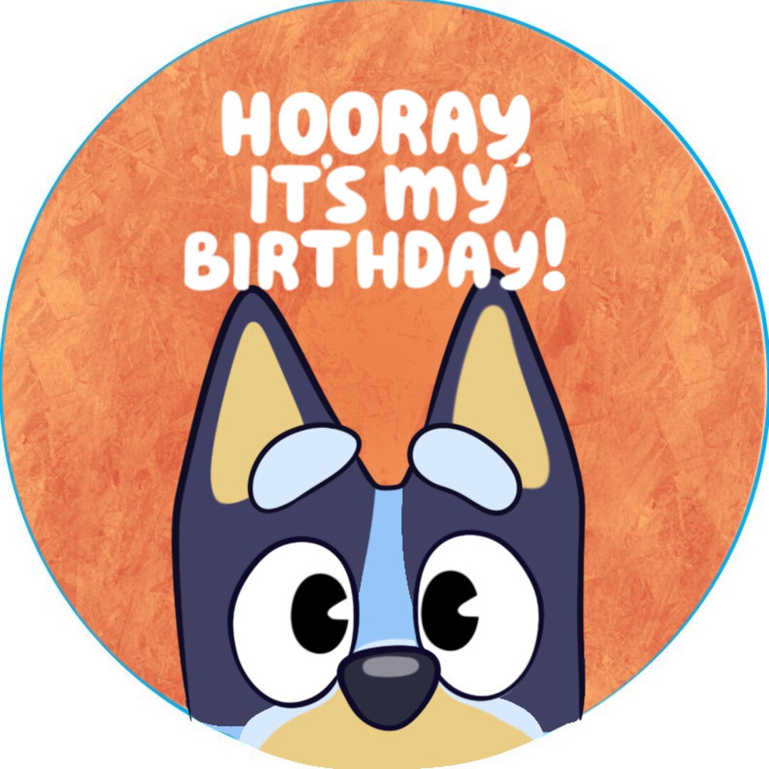 Bluey Bingo Birthday Buttons - Etsy
