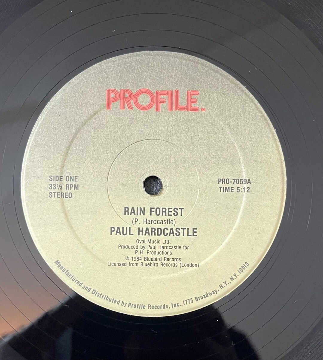 Vintage Vinyl – Paul Hardcastle - Rain Forest - Profile Records – 1985 ...