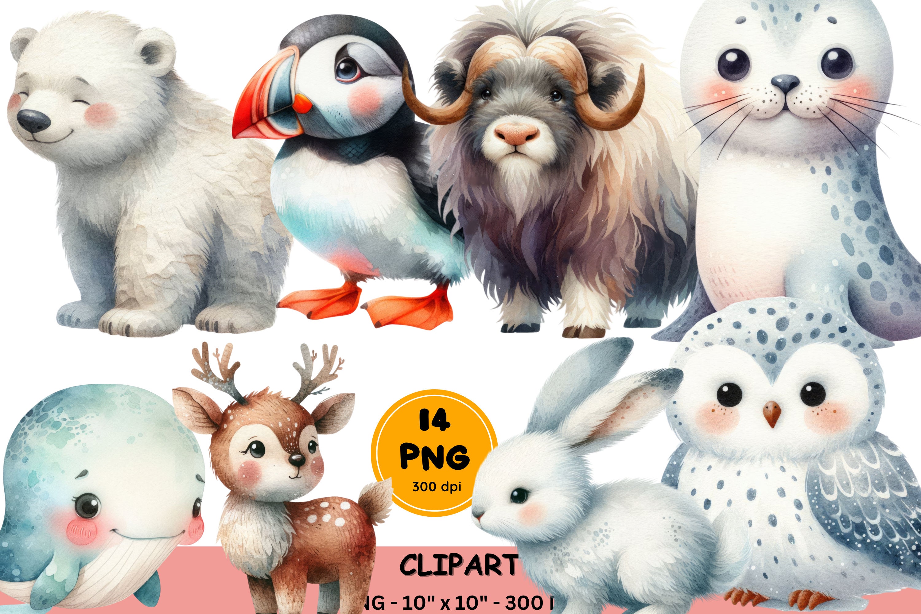 Arctic Animal Clipart, Cute Animals Png, Nursery Decor, Sublimation ...
