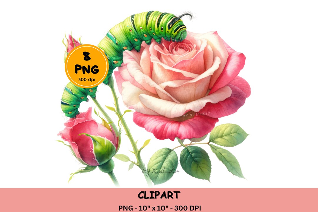 Watercolor Spring Insects on Flower Clipart, Bee on Sunflower Png, Worm ...