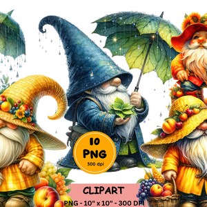 Seasonal Gnomes Clipart, Spring Gnome PNG, Garden Gnome, Summer Gnome ...