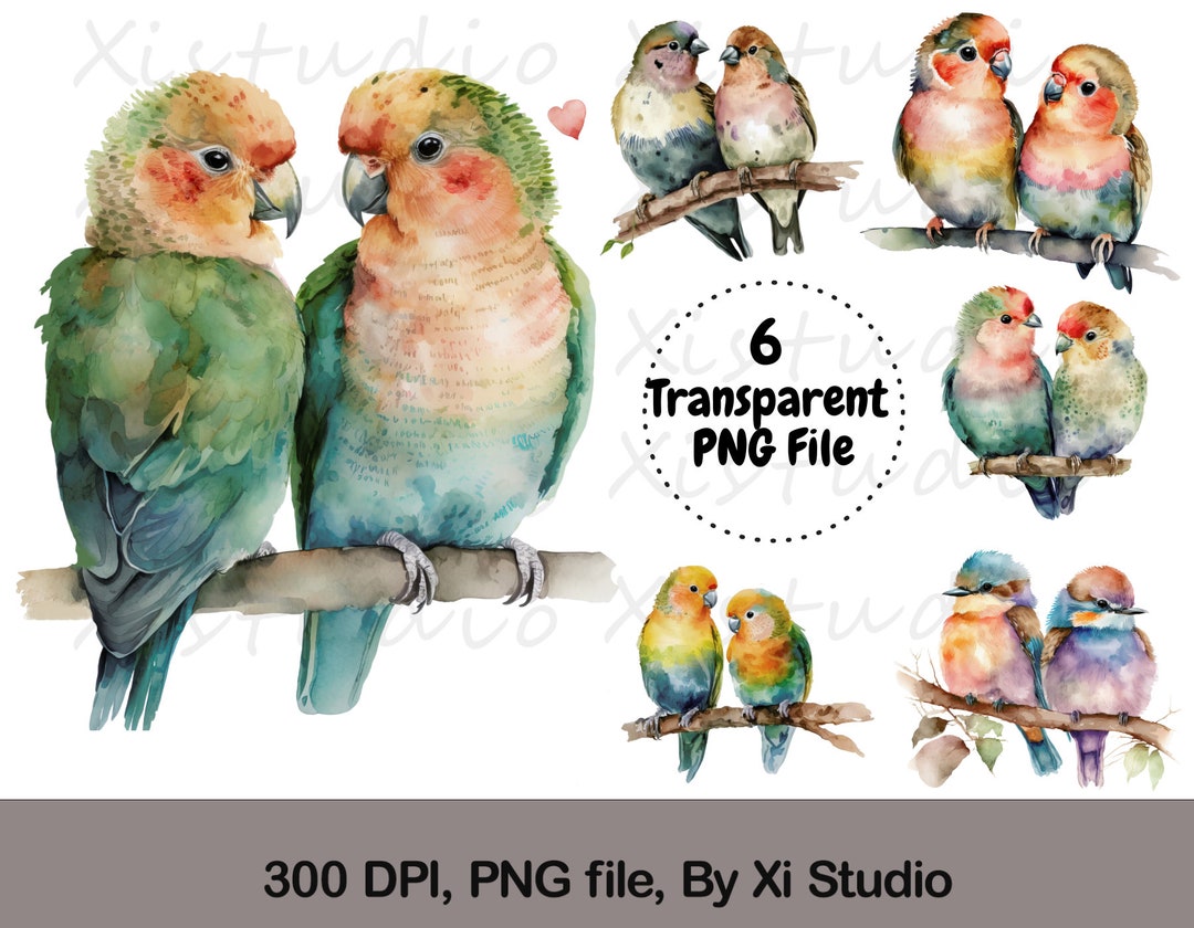 6 Cute Love Birds Clipart, Instant Digital File Download, Cute Couple ...