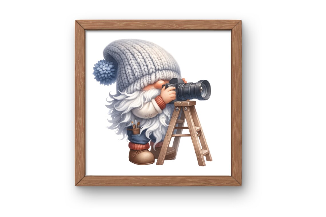 Camera Photographer Gnome Clipart, Camera Gnome PNG, Cute Gnomes ...