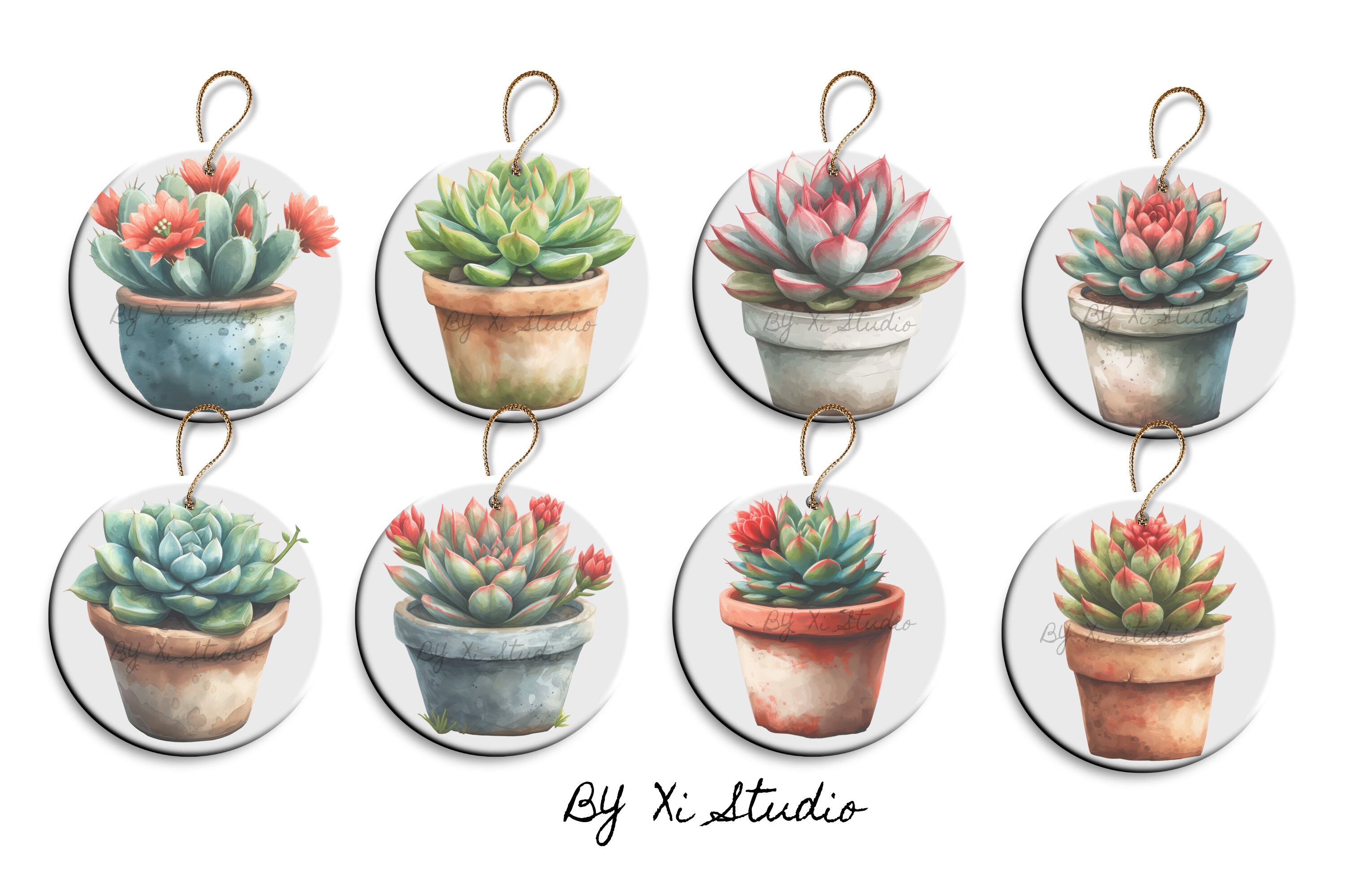 Watercolor Succulent Clipart, Cactus Clipart, Potted Plant, Houseplant ...