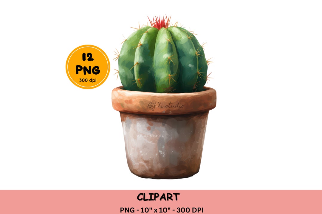 Watercolor Succulent Clipart, Cactus Clipart, Potted Plant, Houseplant ...