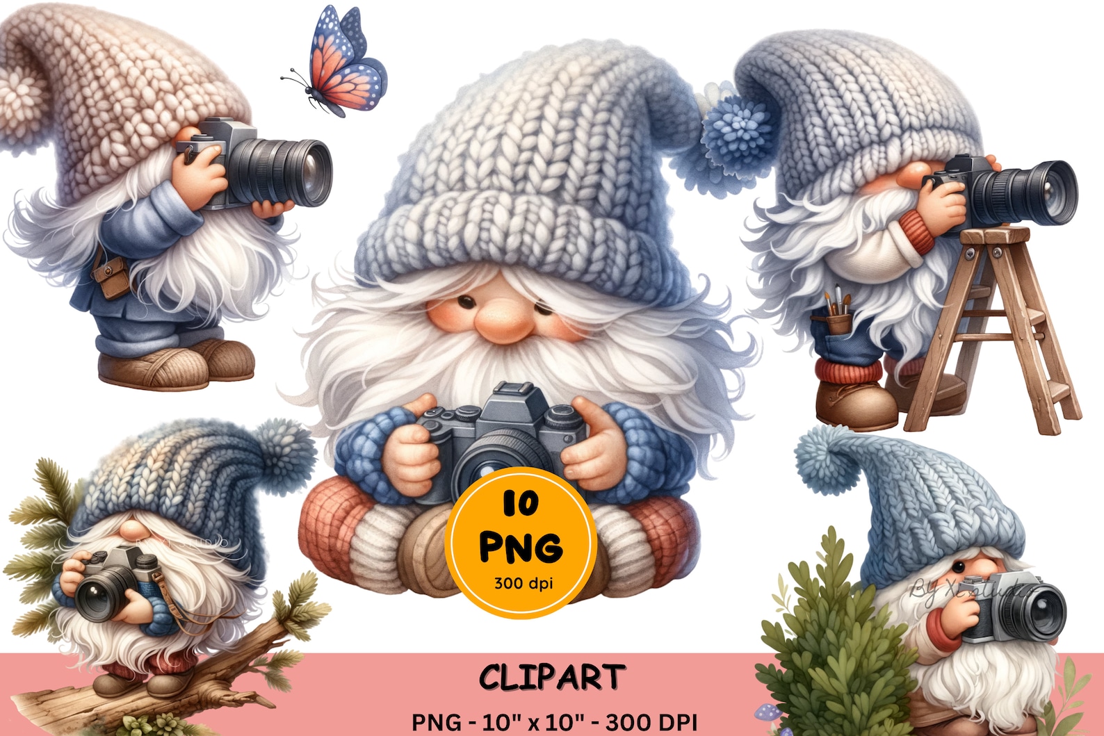 Camera Photographer Gnome Clipart, Camera Gnome PNG, Cute Gnomes ...