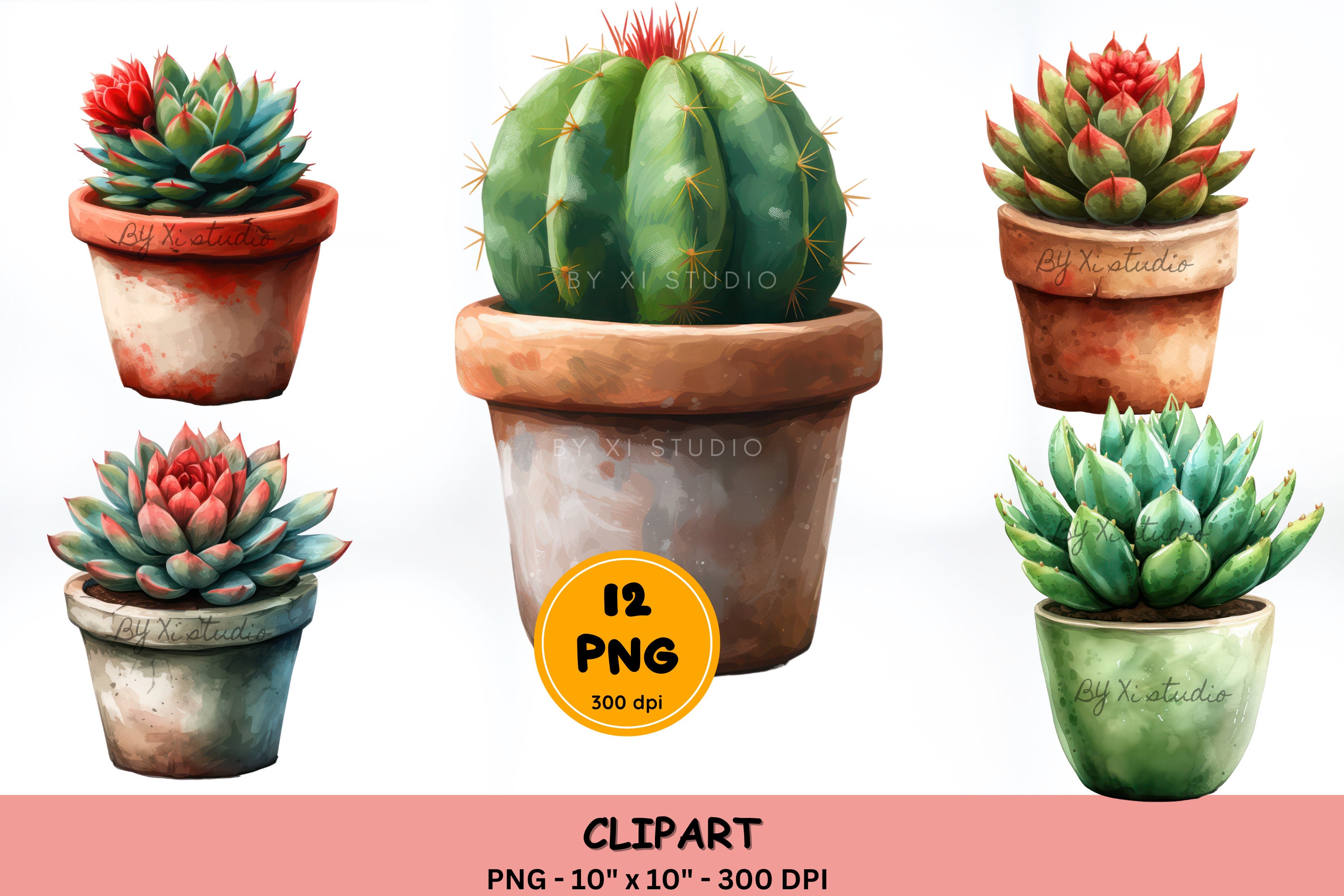 Watercolor Succulent Clipart, Cactus Clipart, Potted Plant, Houseplant ...