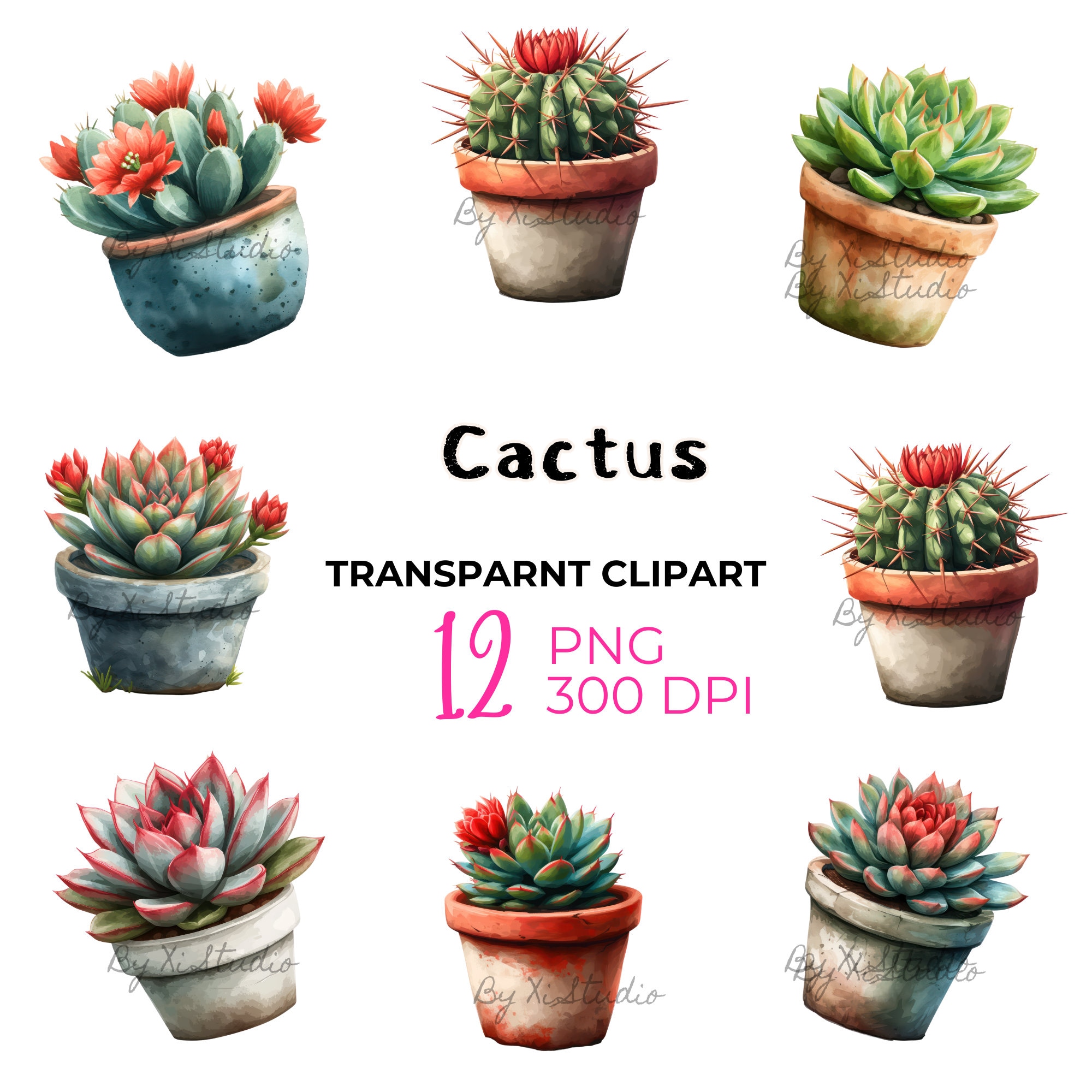 Watercolor Succulent Clipart, Cactus Clipart, Potted Plant, Houseplant ...