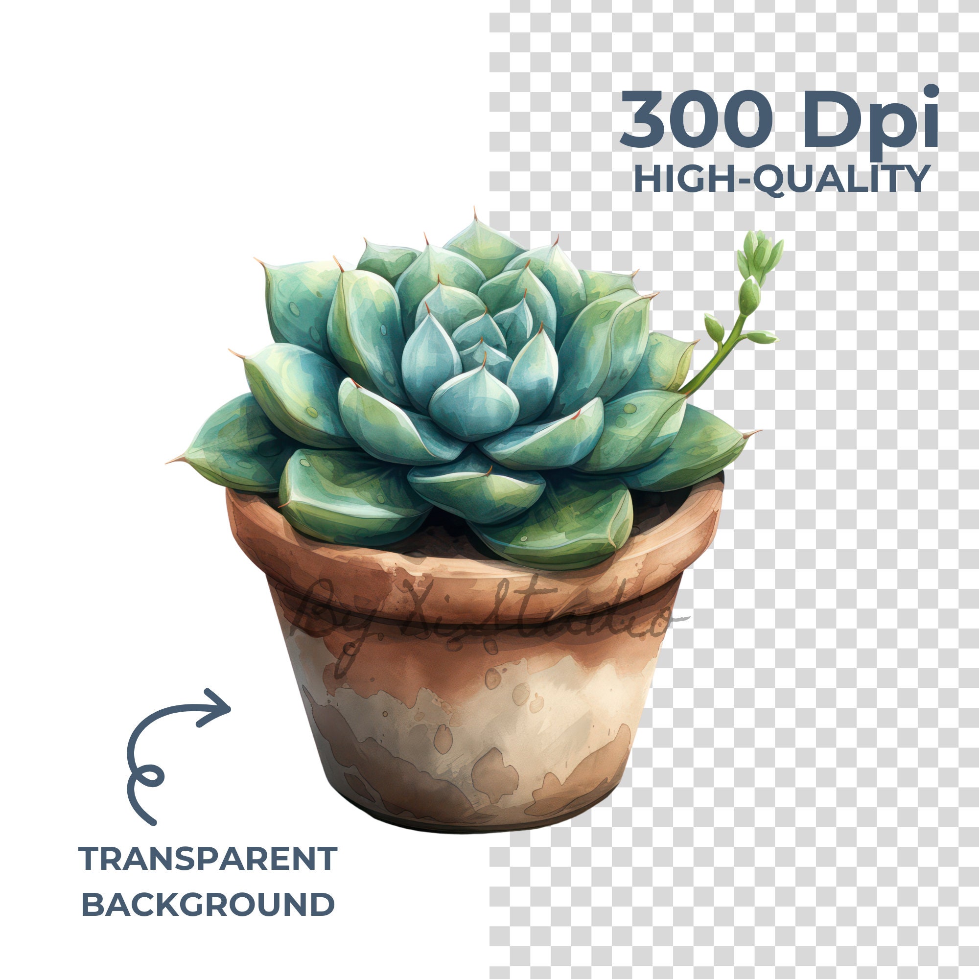 Watercolor Succulent Clipart, Cactus Clipart, Potted Plant, Houseplant ...