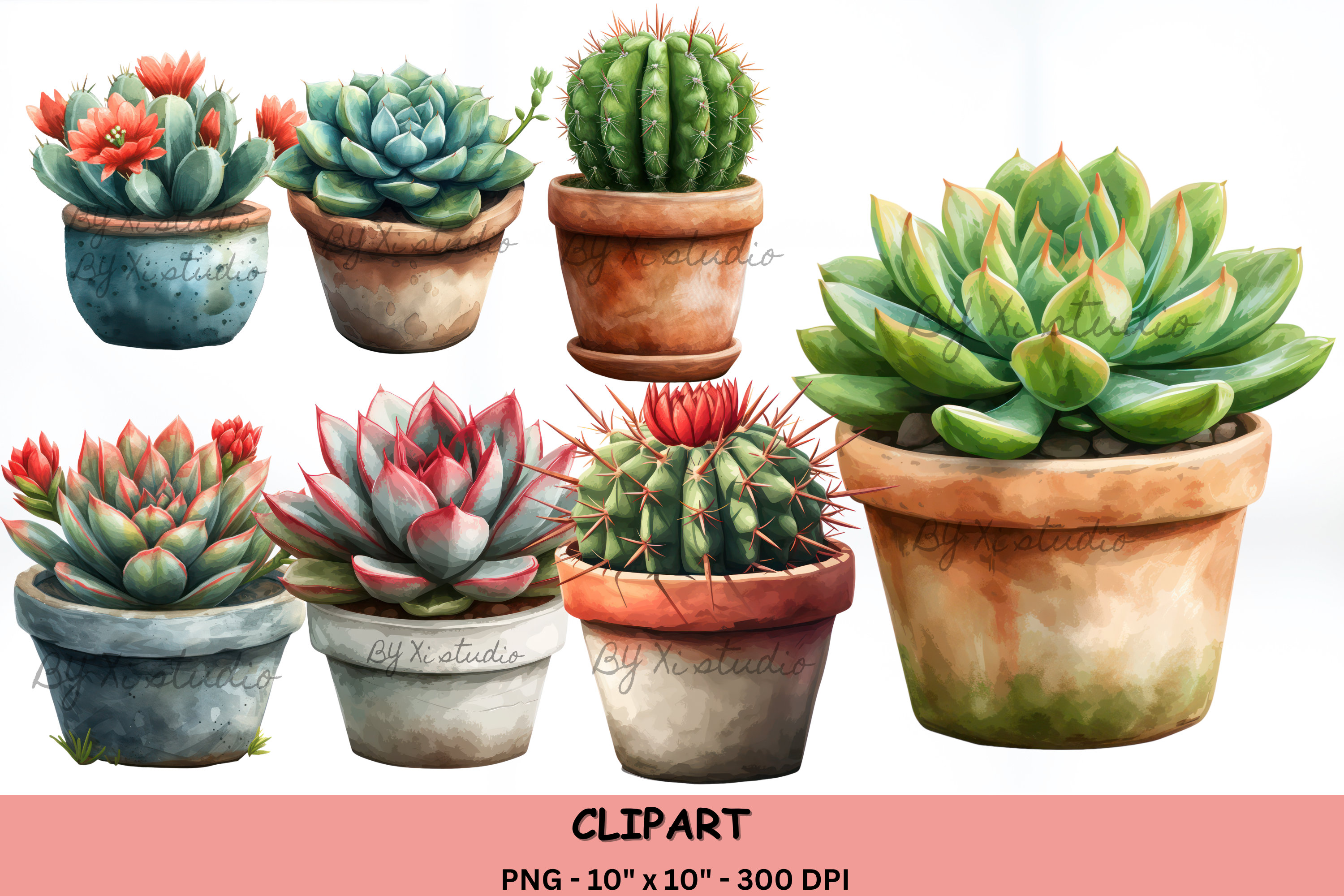 Watercolor Succulent Clipart, Cactus Clipart, Potted Plant, Houseplant ...