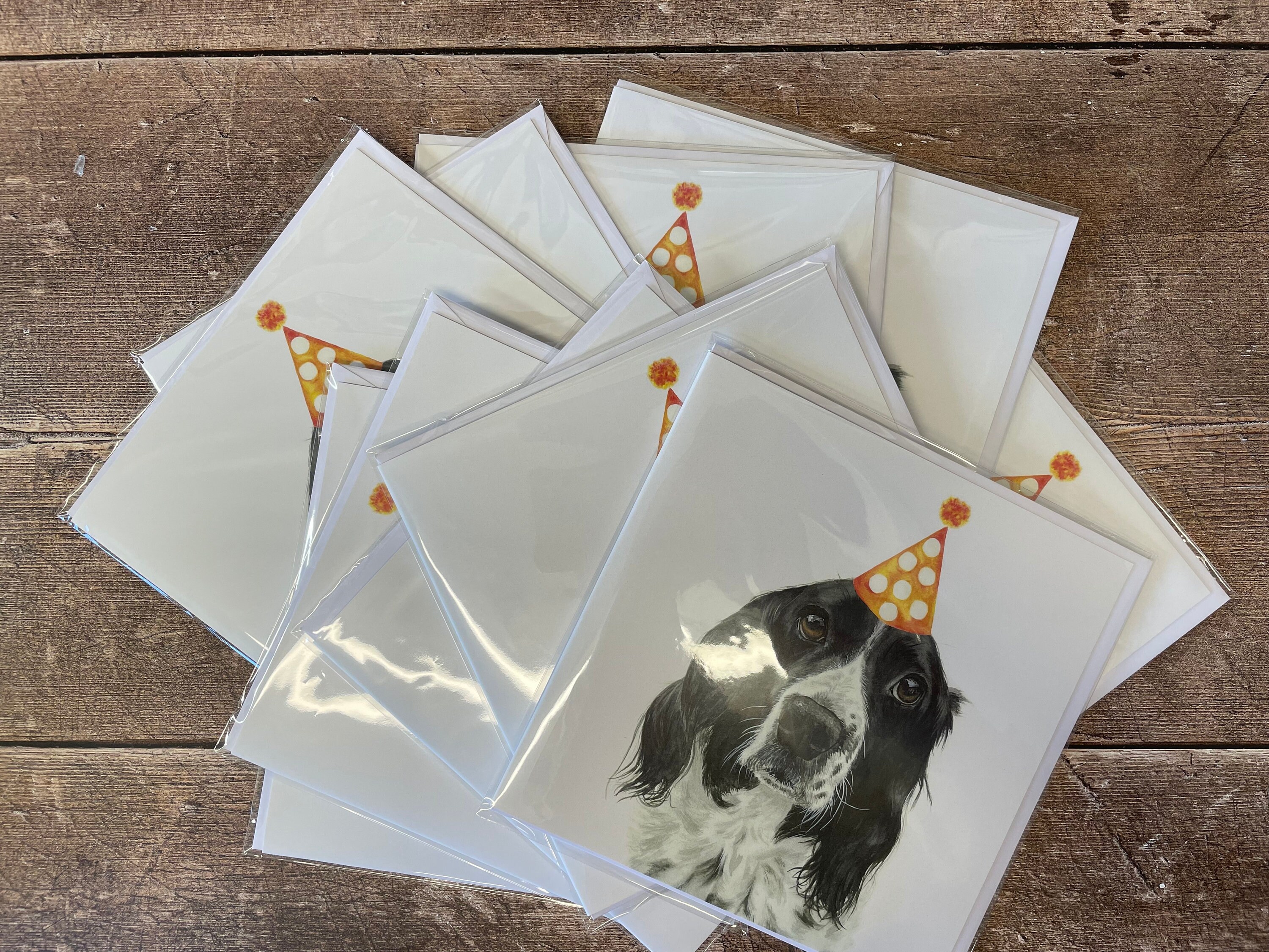 Springer Spaniel Birthday Card - Etsy