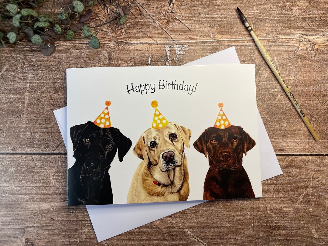 Labrador Birthday Card - Etsy