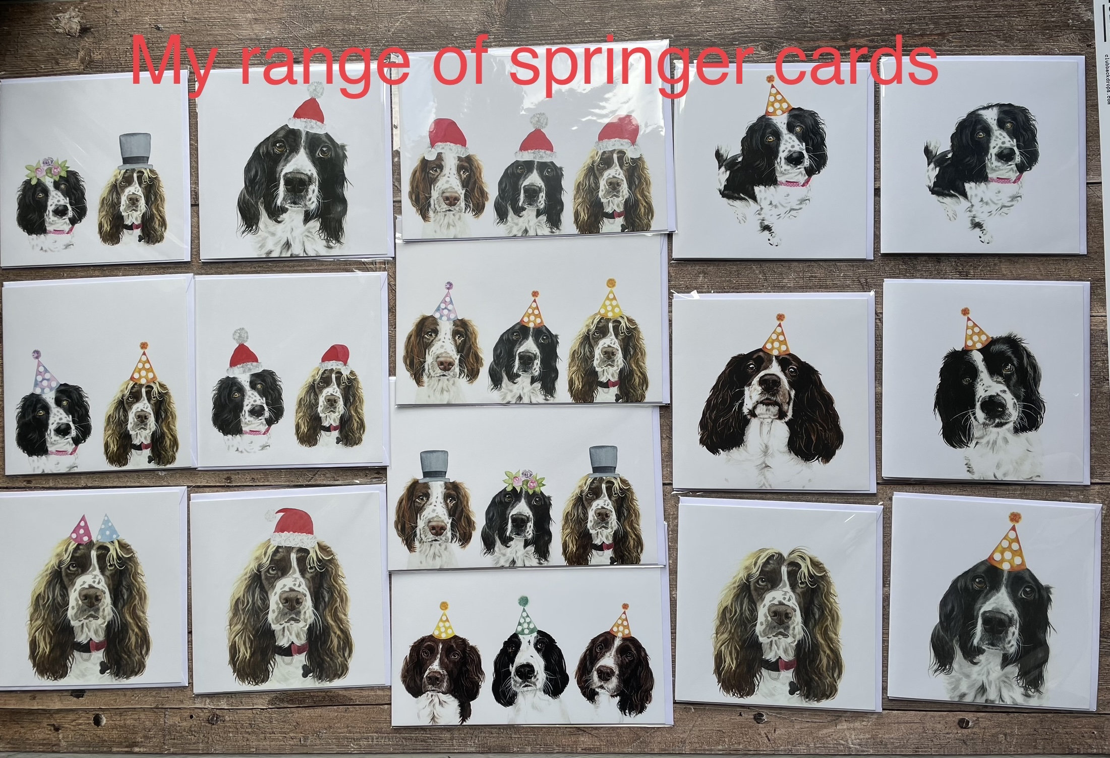 Springer Spaniel Birthday Card - Etsy
