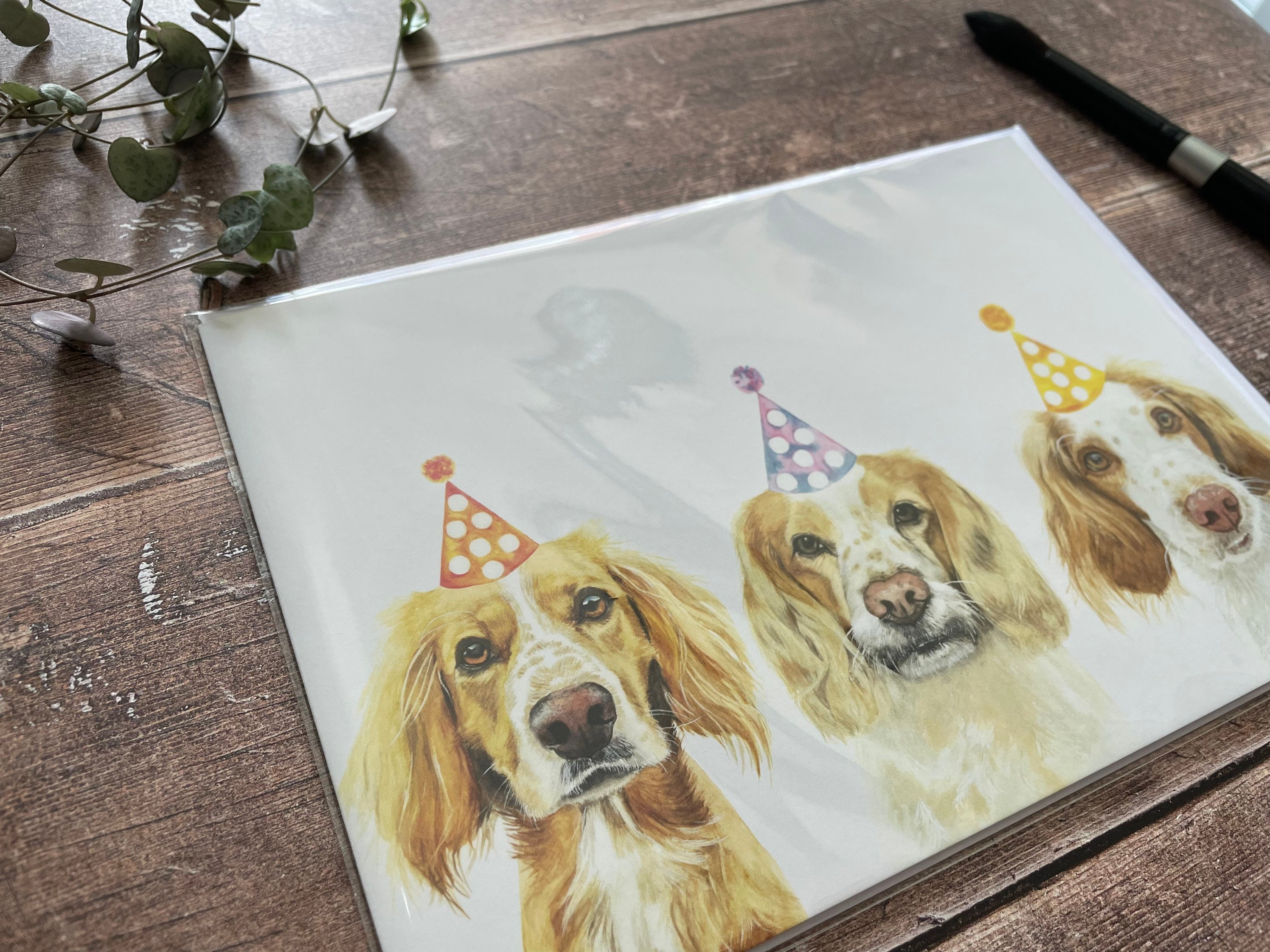 Cocker Spaniel Birthday Card - Etsy