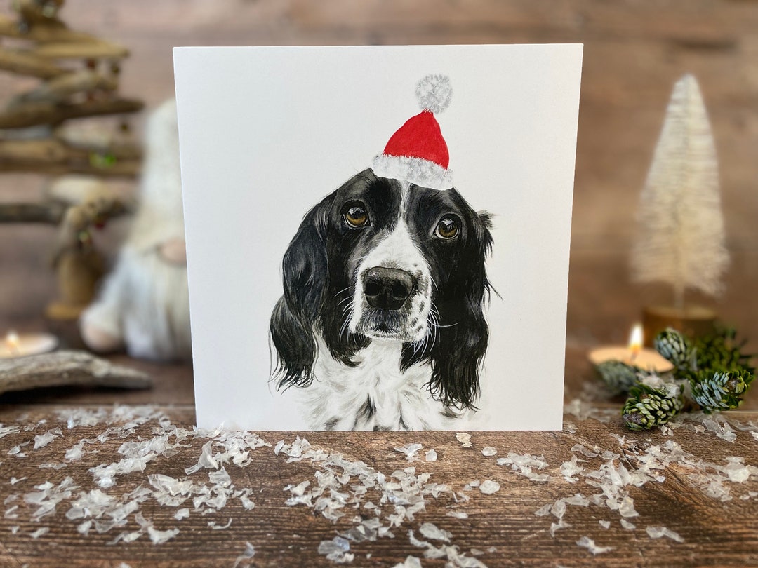 Springer Spaniel Christmas Card - Etsy