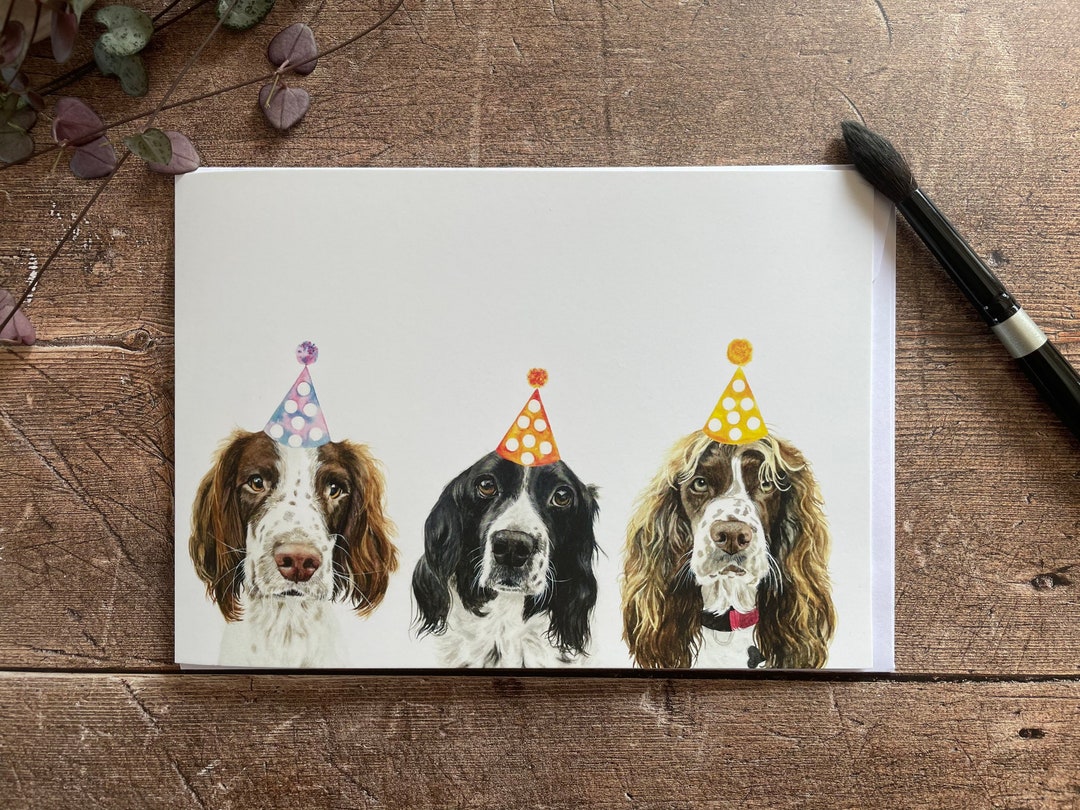 Springer Spaniel Birthday Card - Etsy