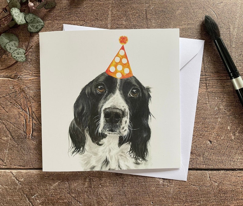 Springer Spaniel Birthday Card - Etsy