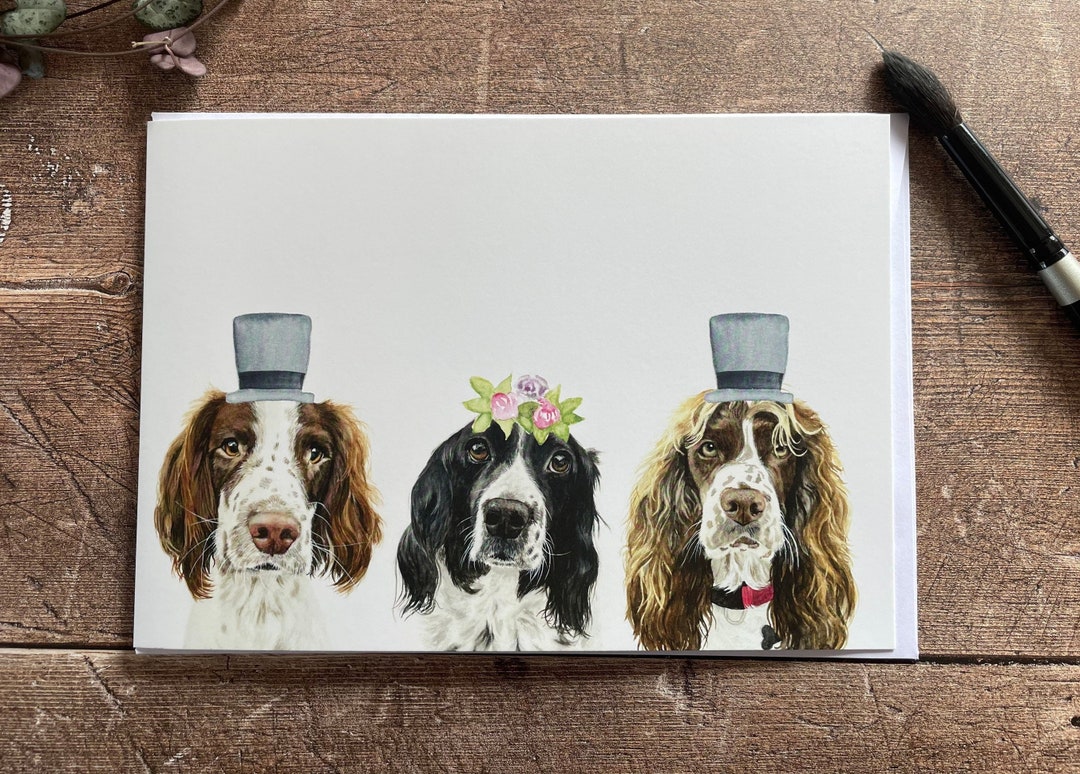 Springer Spaniel Wedding Card | Springer Spaniel Engagement Card ...