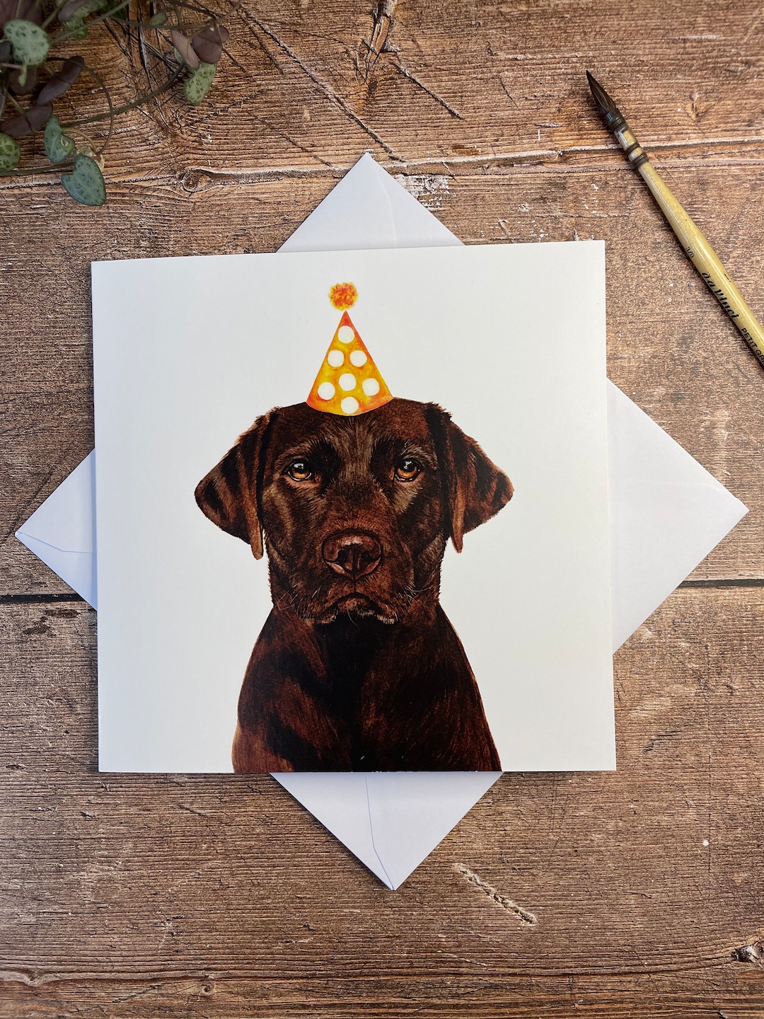Chocolate Labrador Birthday Card | Brown Labrador - Etsy