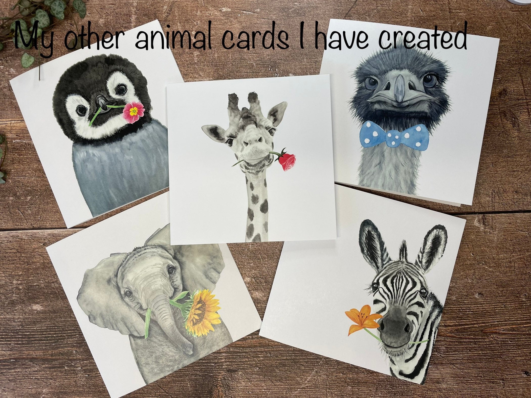 Zebra Card | Zebra Good Luck Card | Zebra Thank You Card | Any Occasion ...