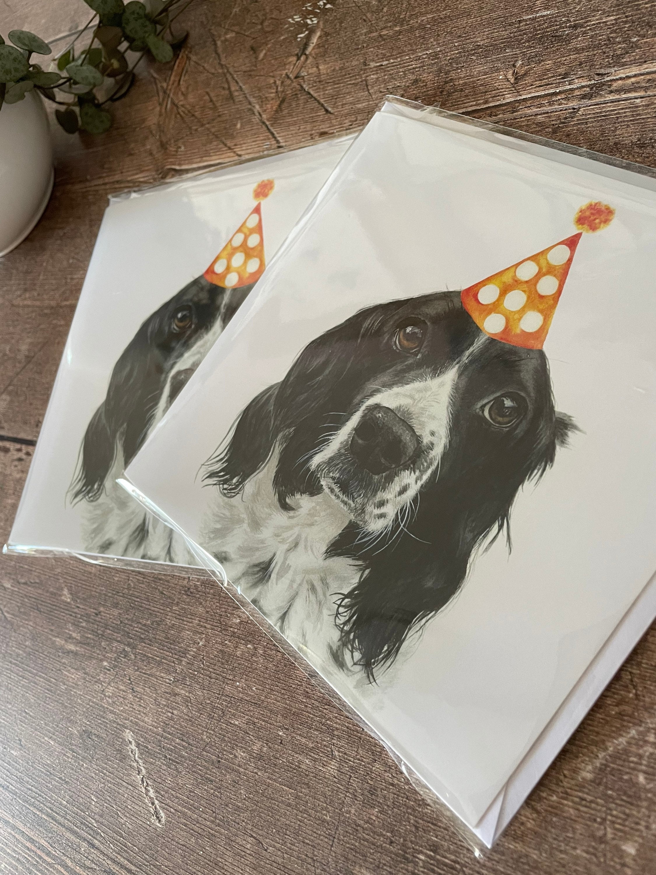 Springer Spaniel Birthday Card - Etsy