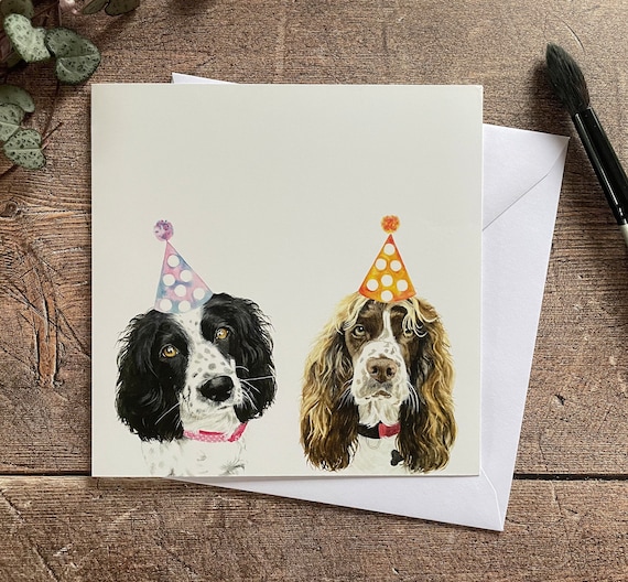 Springer Spaniel Birthday Card - Etsy