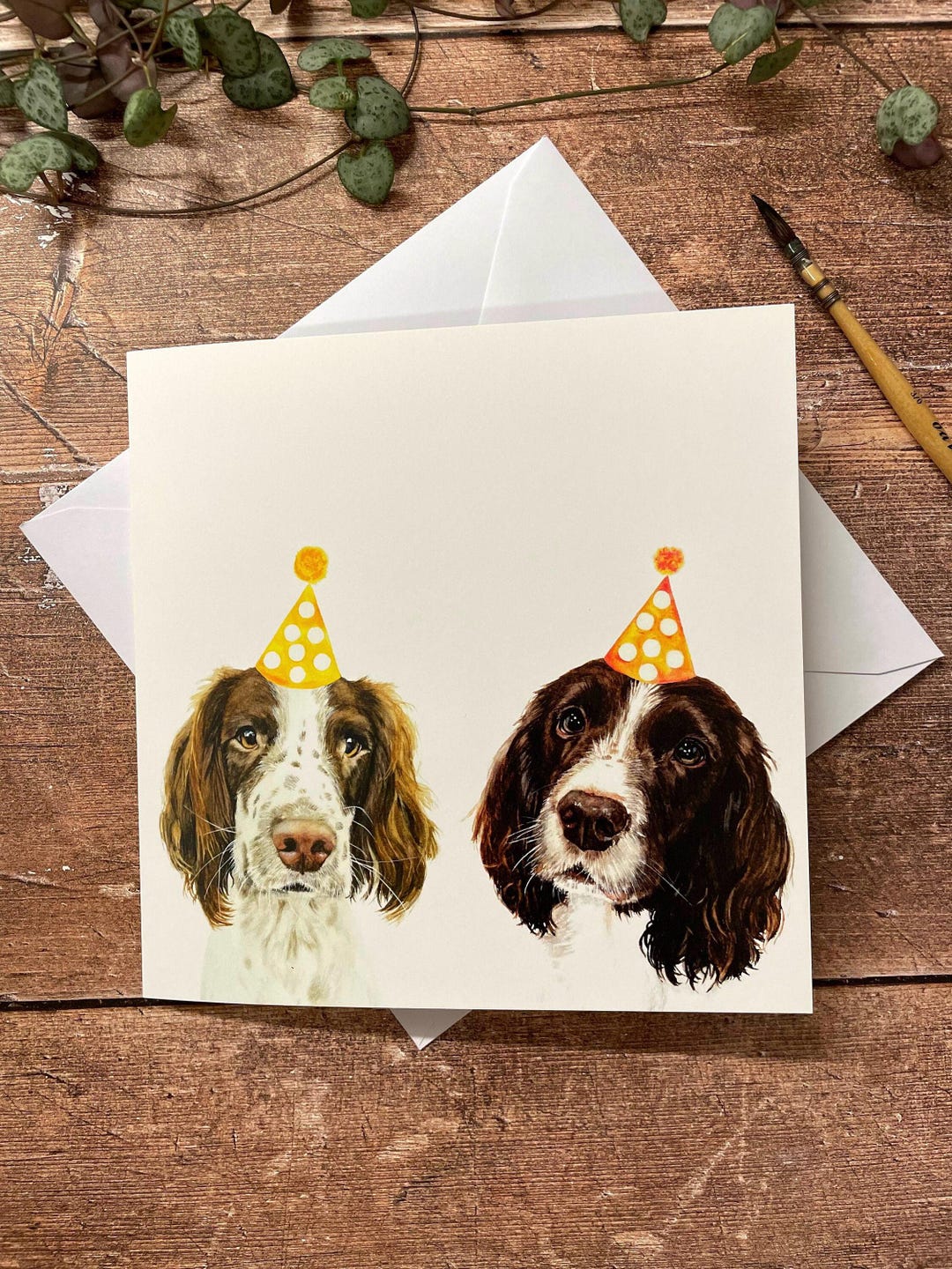 Springer Spaniel Birthday Card | Brown & White Springer Card - Etsy
