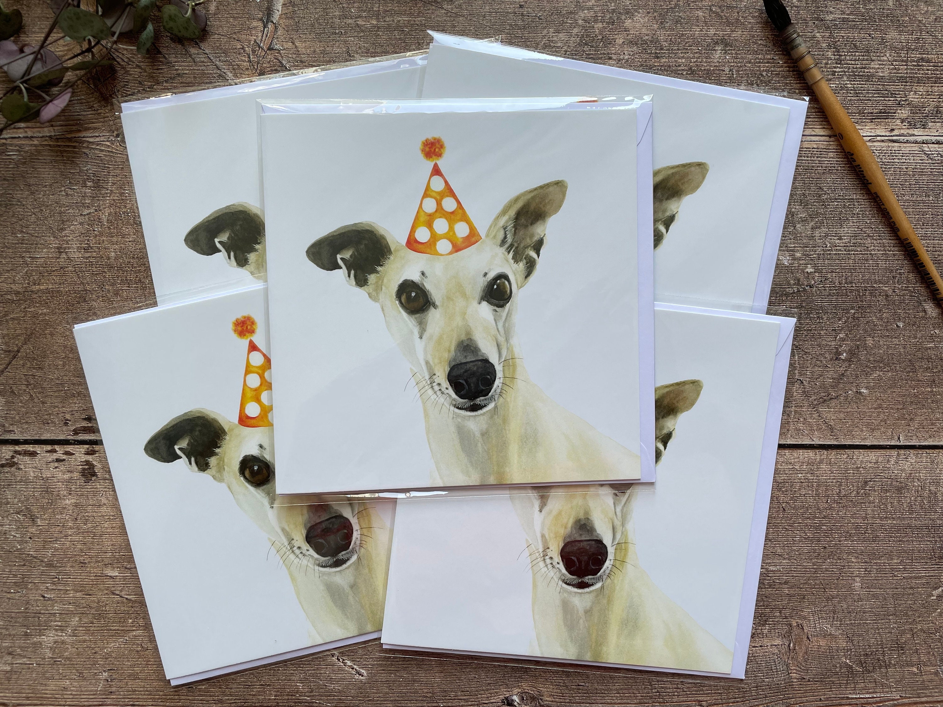 Whippet Birthday Card - Etsy