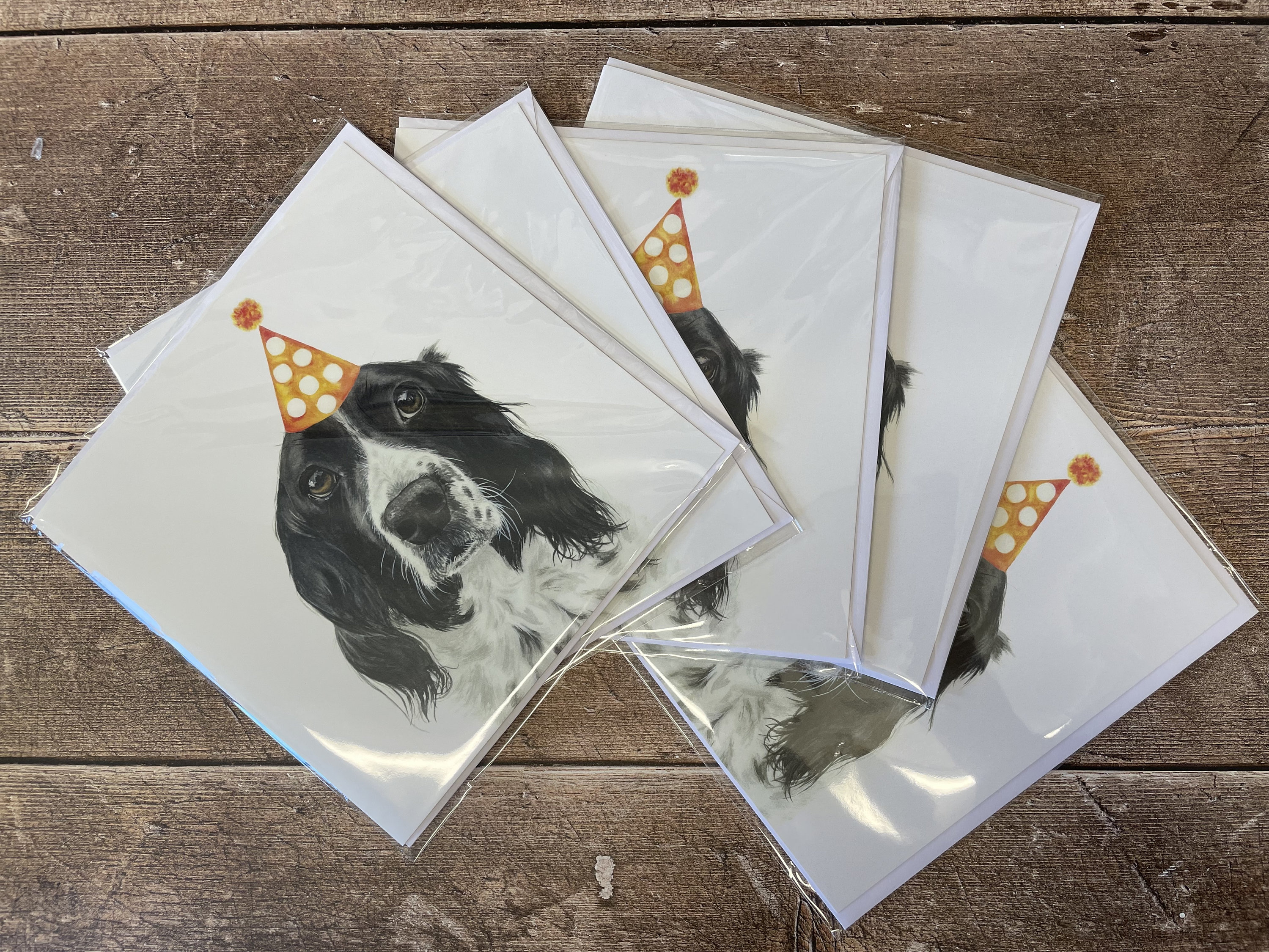 Springer Spaniel Birthday Card - Etsy