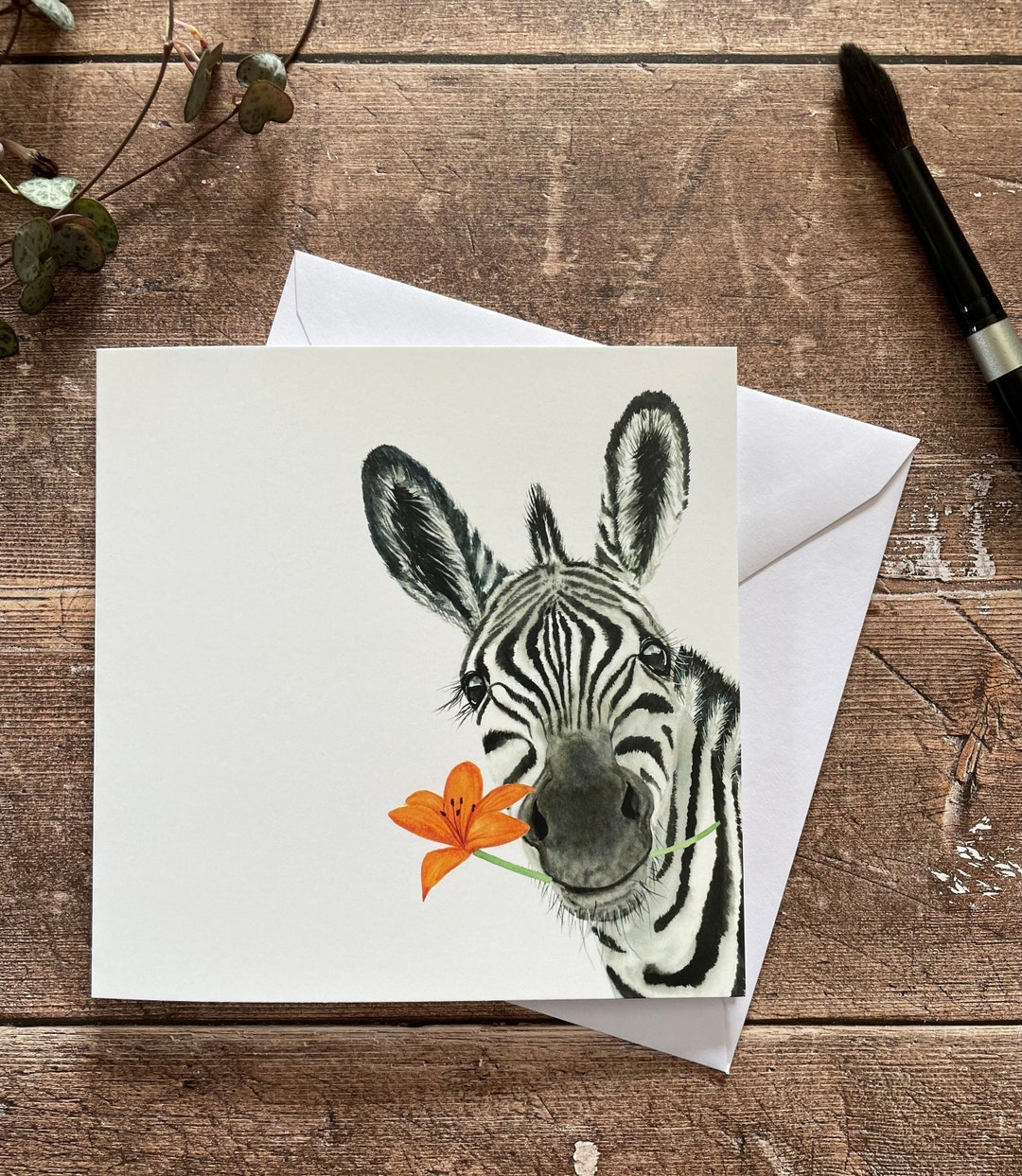 Zebra Card | Zebra Good Luck Card | Zebra Thank You Card | Any Occasion ...